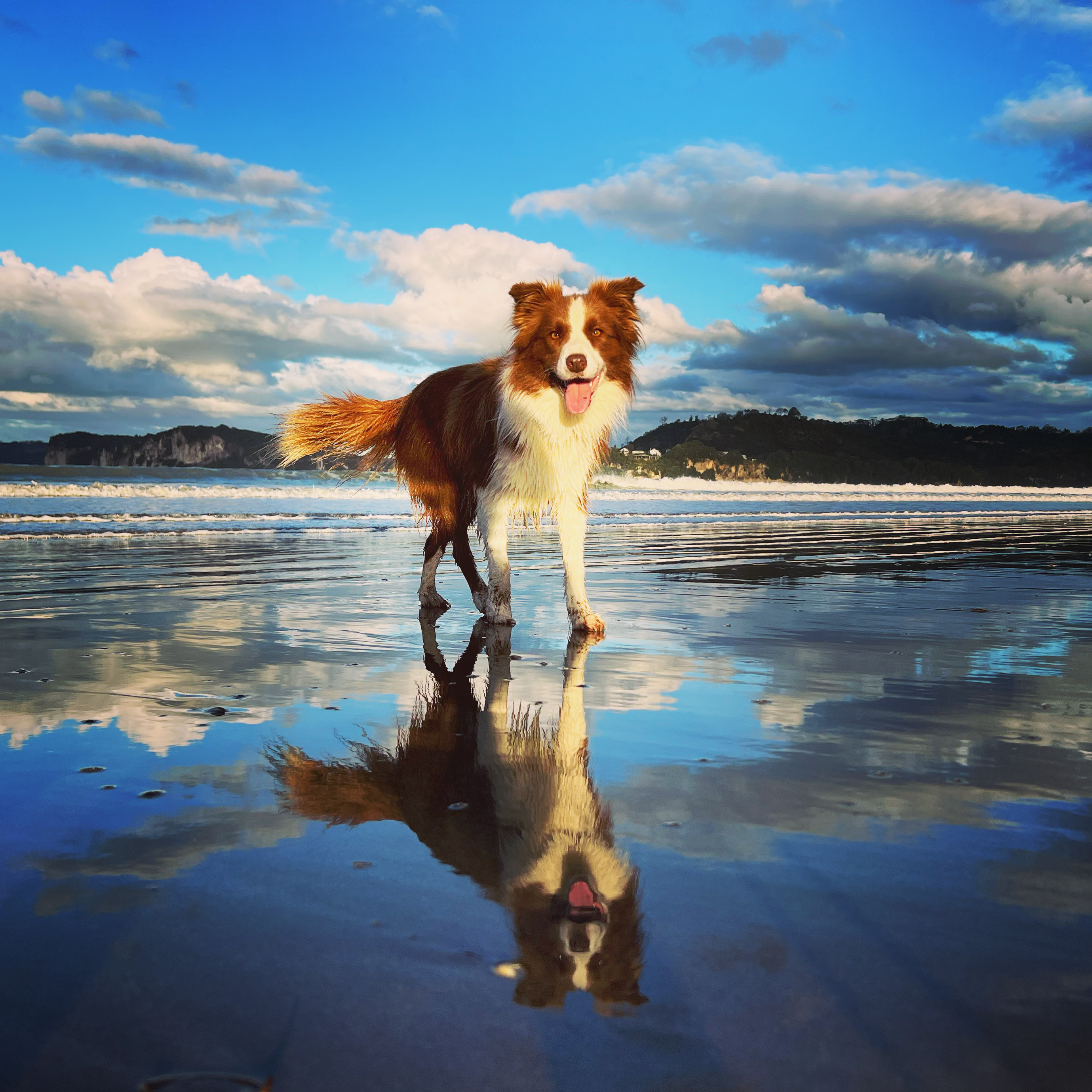 The Coromandel Peninsula