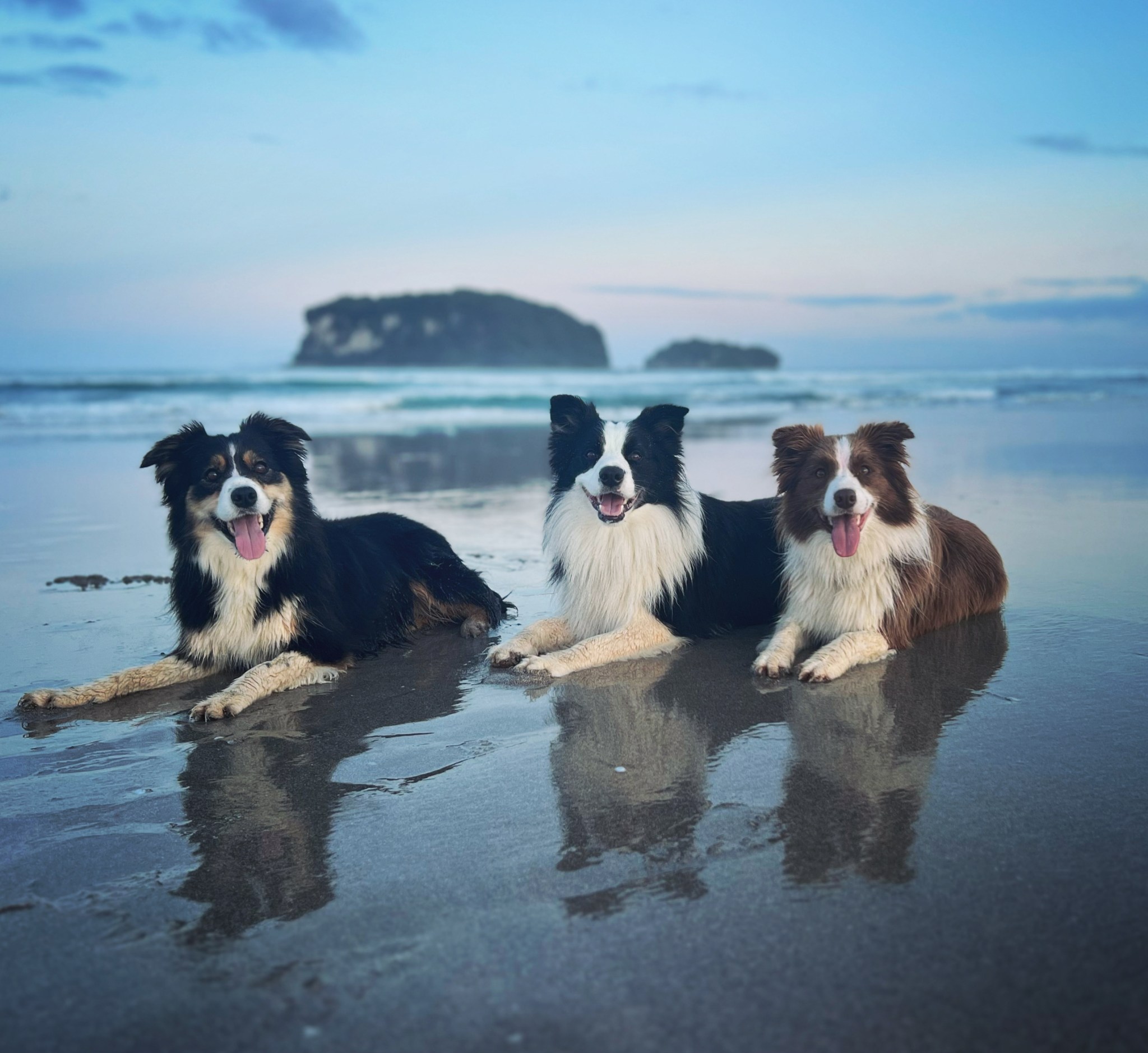 The Coromandel Peninsula